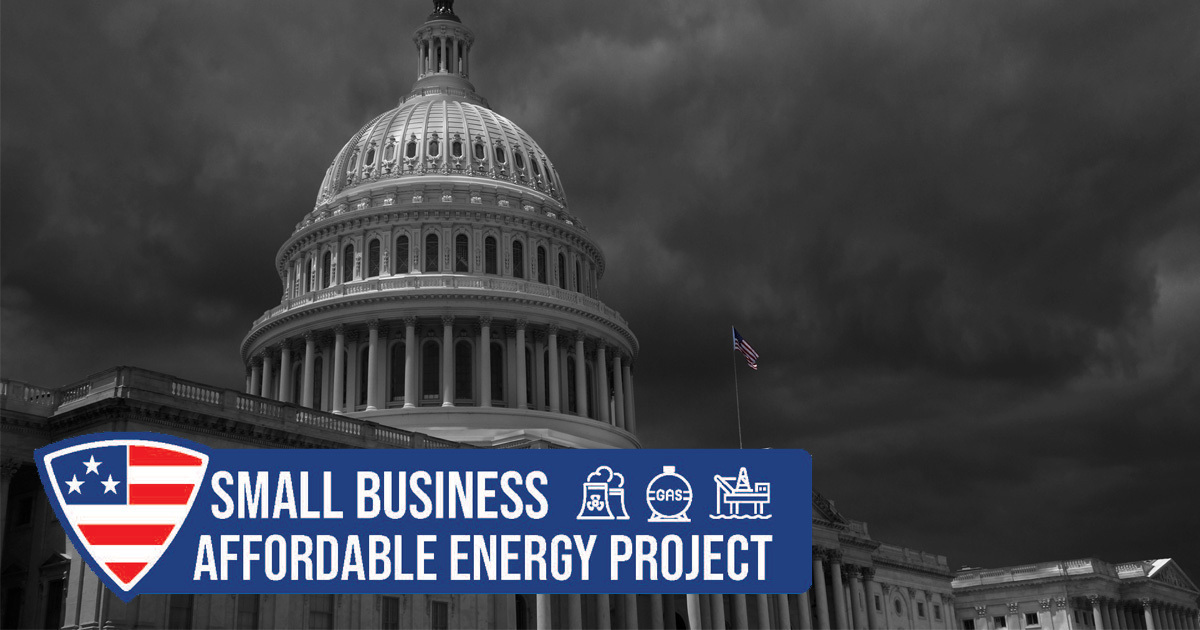 The Issue - Affordable Energy Project